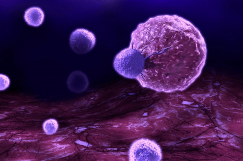 Xstrahl in Action: Xstrahl 200 Used for Research into Clinical Response ...