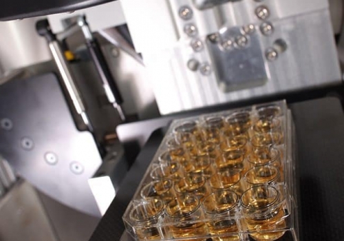 Image-Guided Irradiation for Research | Xstrahl